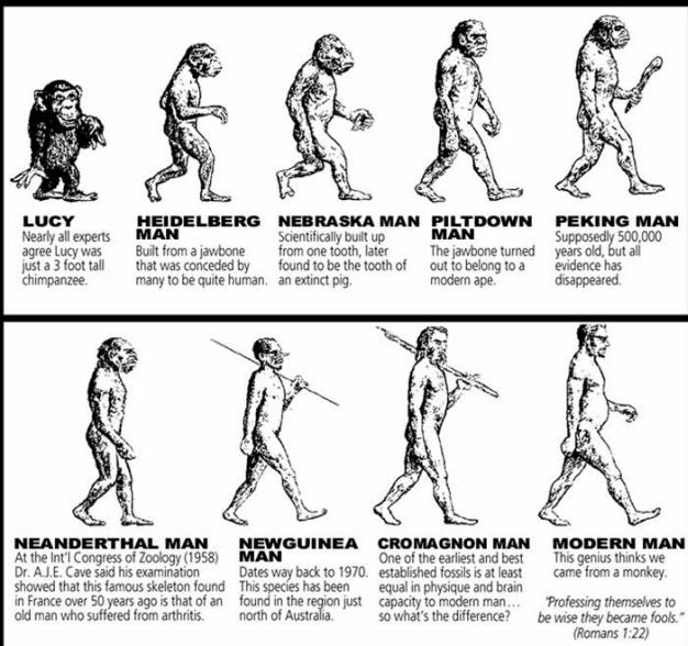 The Real Evolution Chart R atheism